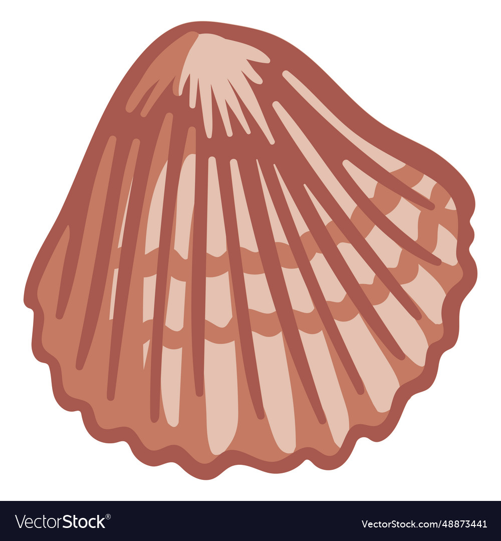 Hand drawn shell Royalty Free Vector Image - VectorStock