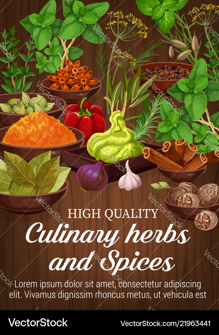 Herbs and spices on wooden background Royalty Free Vector