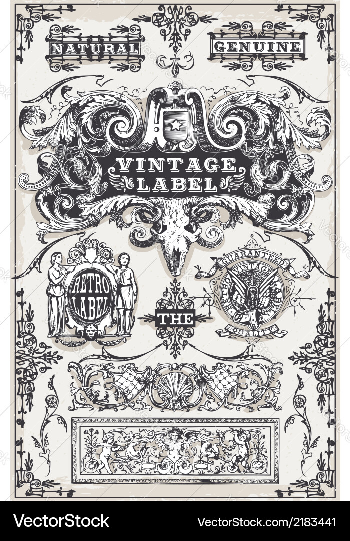 Vintage hand drawn graphic banners and labels Vector Image
