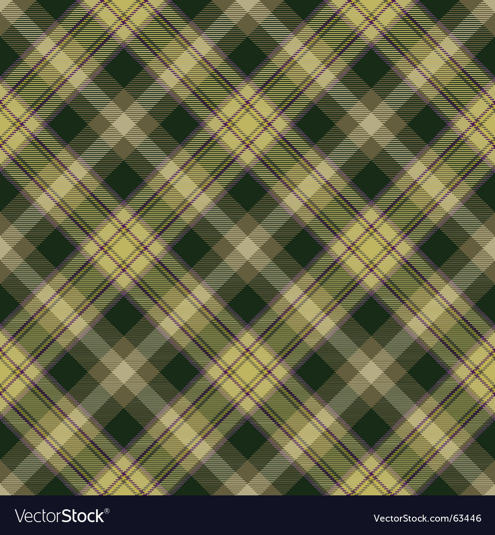 Plaid Royalty Free Vector Image - VectorStock