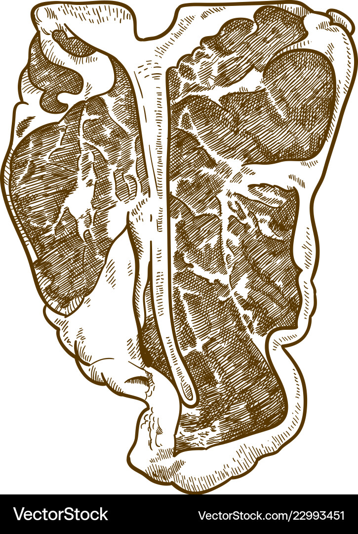 Engraving of t-bone steak Royalty Free Vector Image