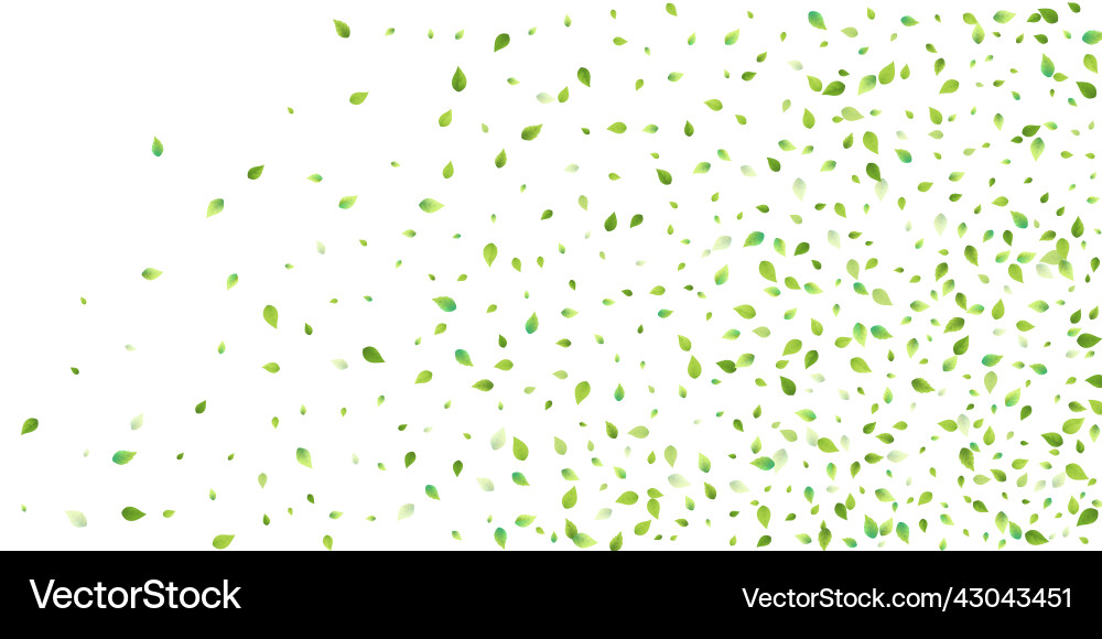 Leaves green falling flying foliage leaf tea mint Vector Image
