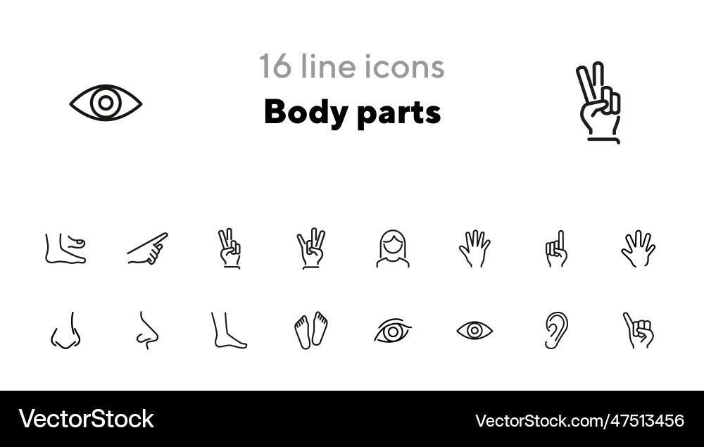 Body parts line icon set Royalty Free Vector Image