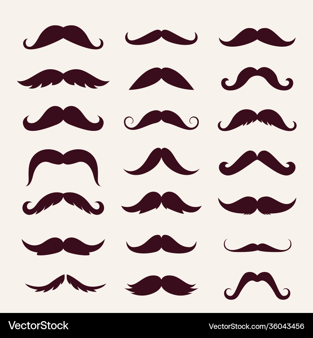 Mustache trendy styles set brown mustache curly Vector Image
