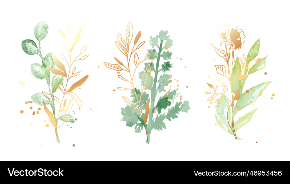 Set of watercolor botanical element Royalty Free Vector