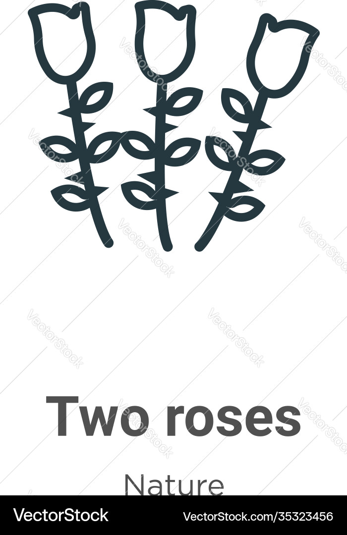 Two roses outline icon thin line black roses Vector Image