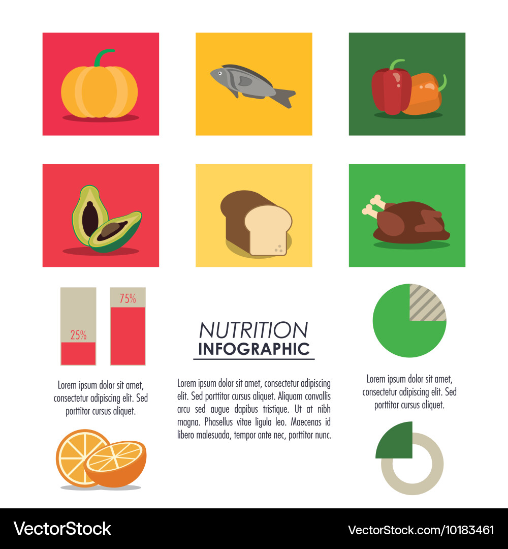 Infographic icon nutrition design graphic Vector Image