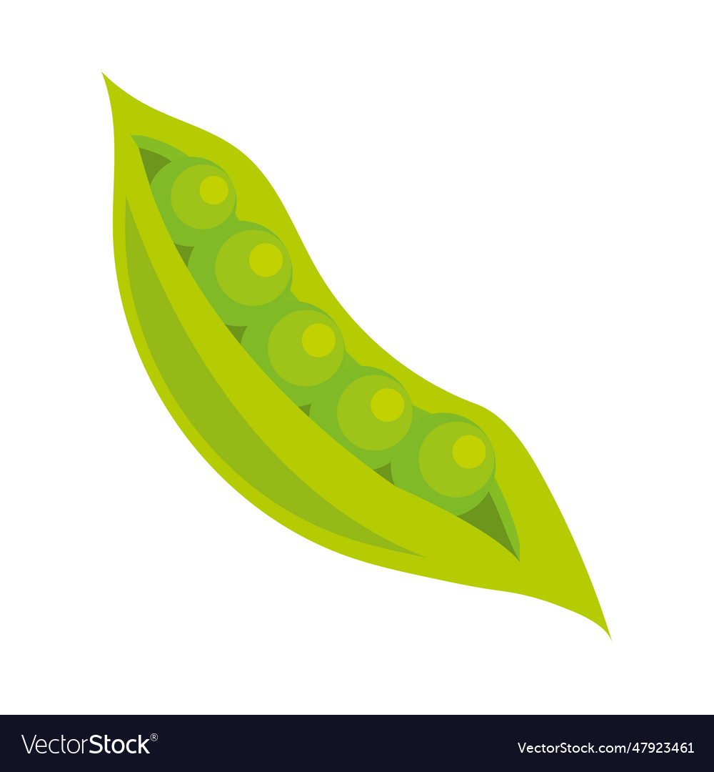Peas vegetable food icon design Royalty Free Vector Image
