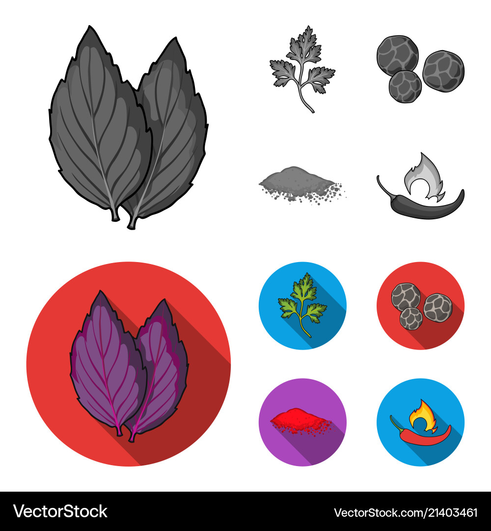 Ptrushka black pepper paprika chiliherbs Vector Image