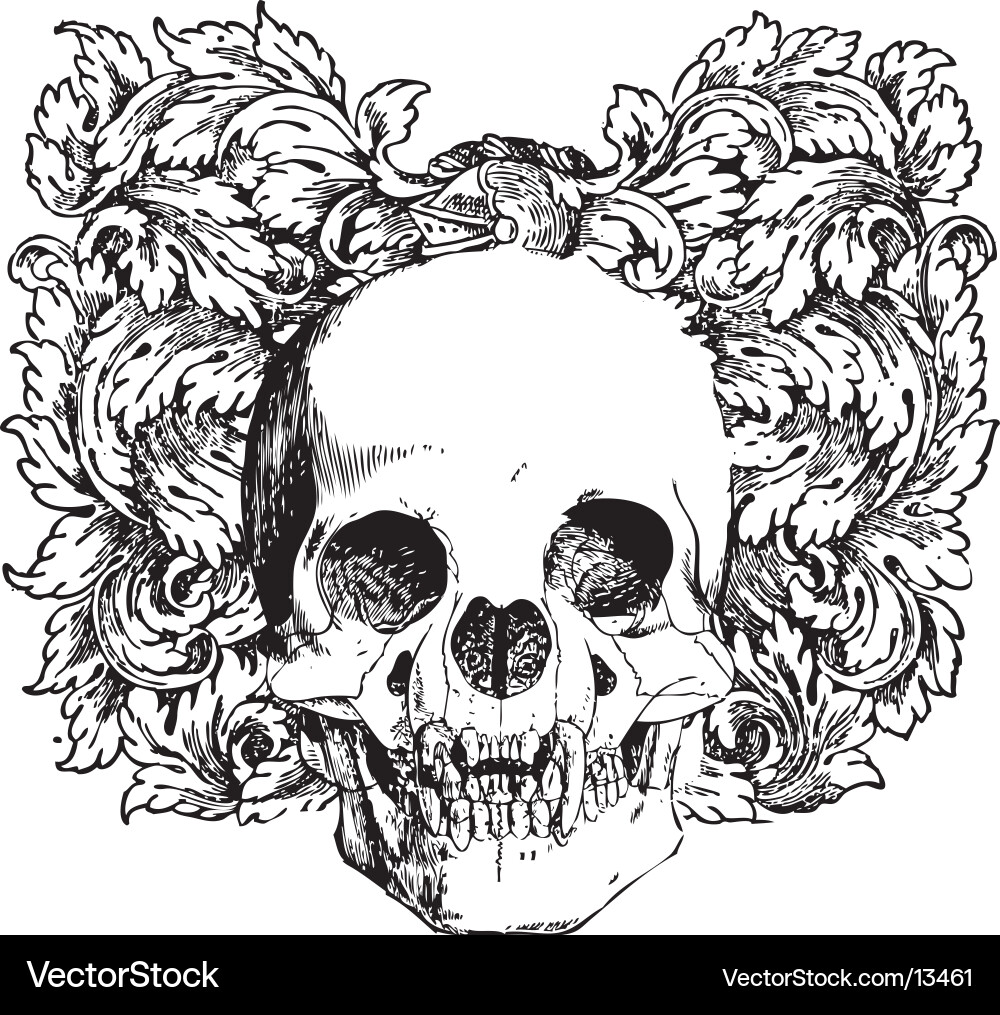 Skull Royalty Free Vector Image - VectorStock