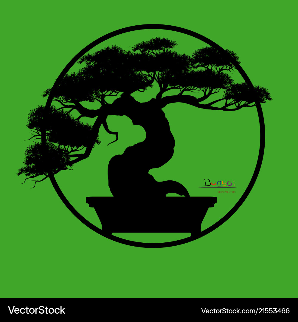 Bonsai tree japanese and chinese trees Royalty Free Vector