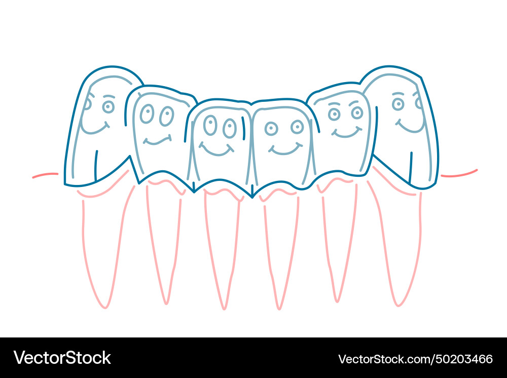 Orthodontic silicone trainer invisible braces Vector Image
