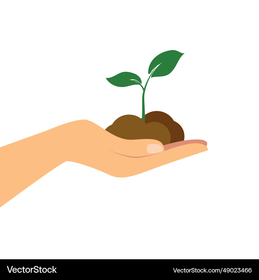 Plant in hand on white background Royalty Free Vector Image