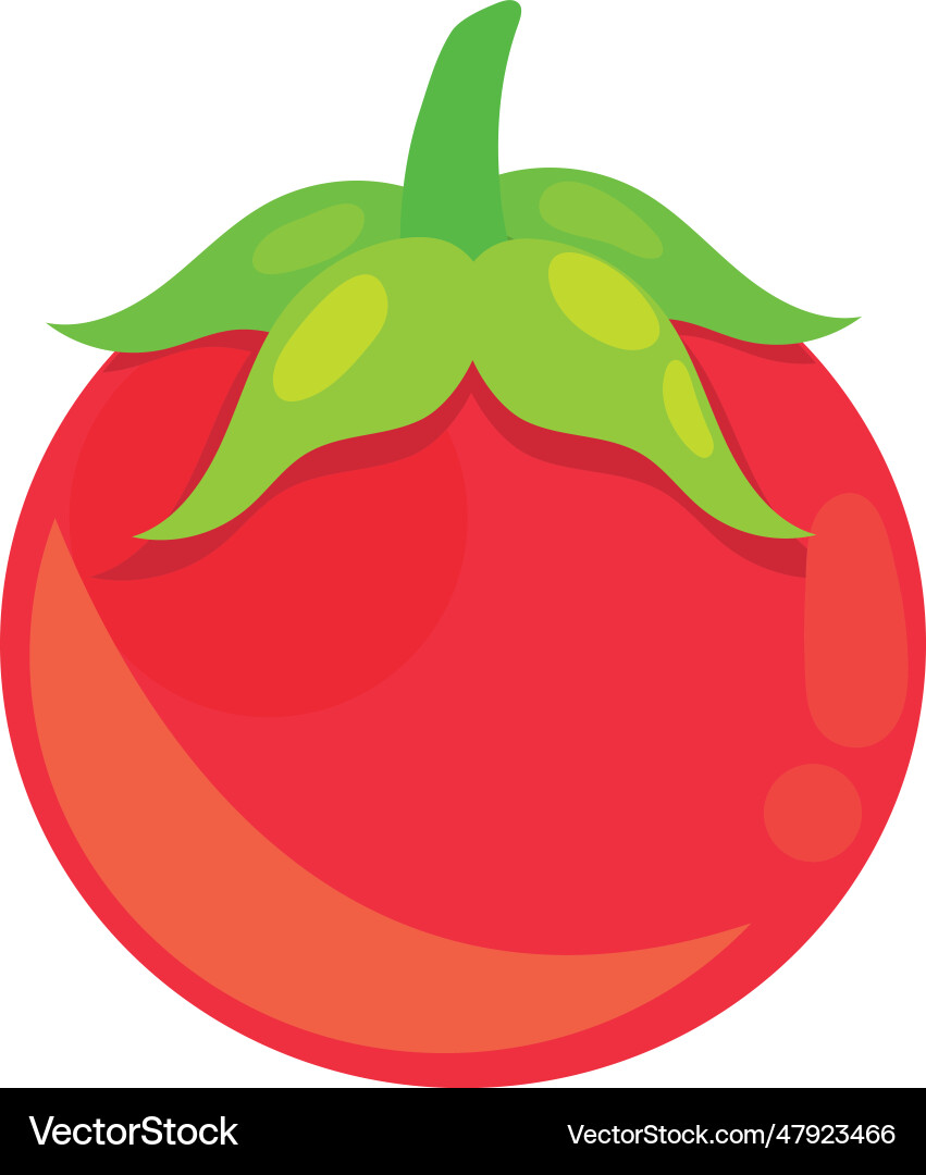 Tomato vegetable food icon design Royalty Free Vector Image
