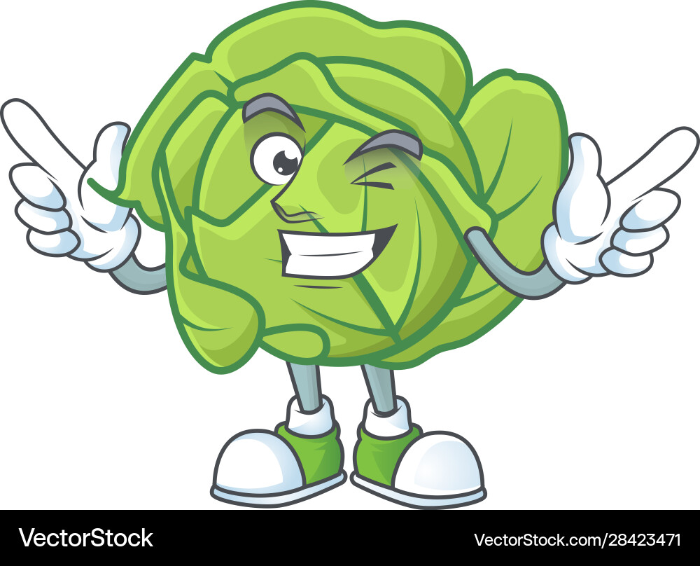 Funny cabbage cartoon character style with wink Vector Image