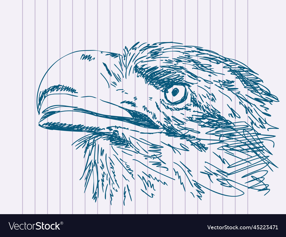 Hand drawn eagle Royalty Free Vector Image - VectorStock