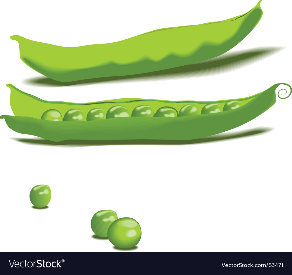 Pea Royalty Free Vector Image - VectorStock