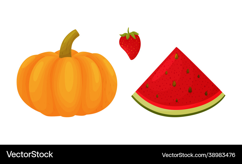 Fresh ripe fruit vegetable and berry set pumpkin Vector Image