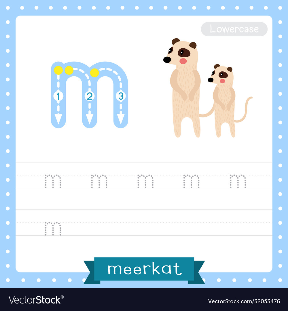 Letter m lowercase tracing practice worksheet Vector Image Letter m lowercase tracing practice worksheet Vector Image