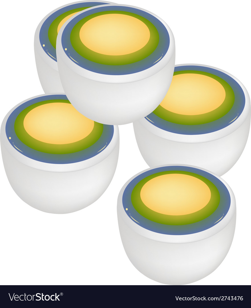 Stack thai dessert layer coconut pudding Vector Image