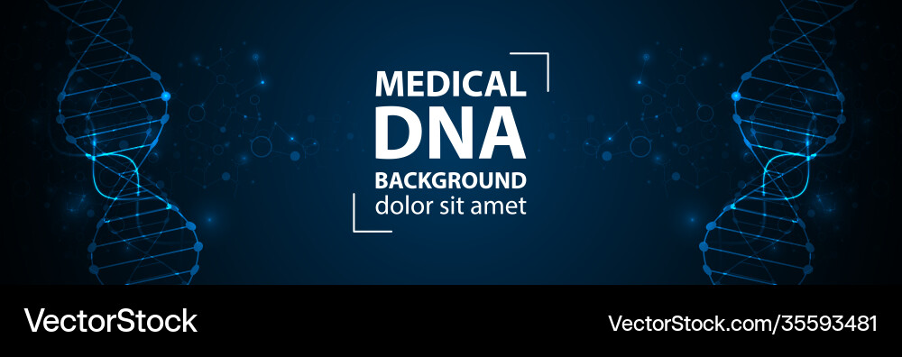 Science template wallpaper or banner with a dna Vector Image