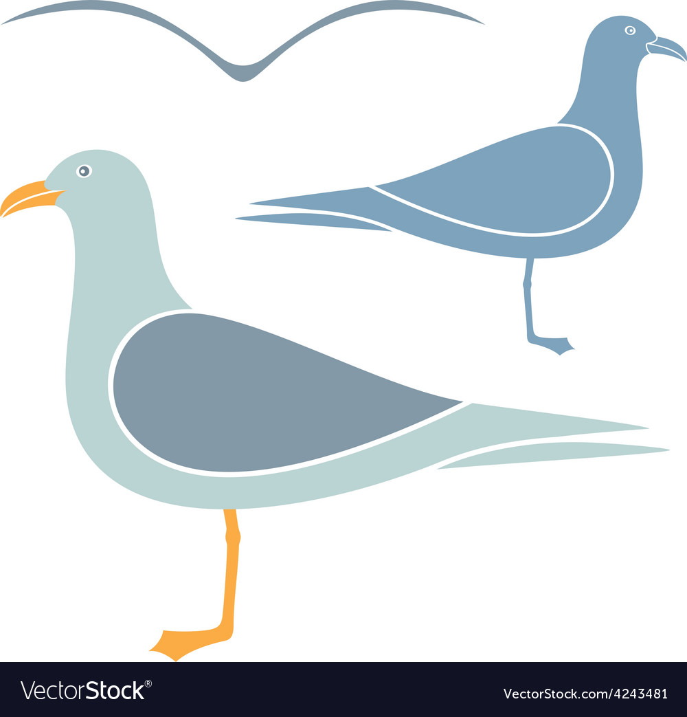 Seagull Royalty Free Vector Image - VectorStock