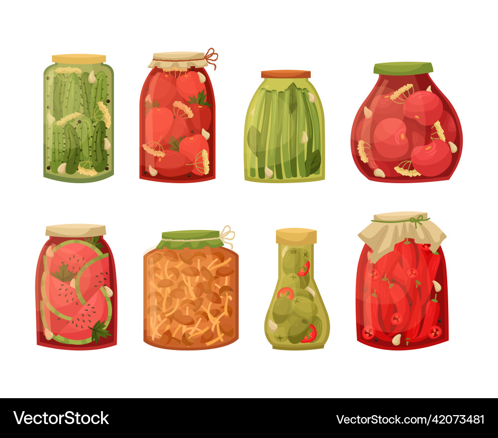 Set of jars with pickles preparations Royalty Free Vector