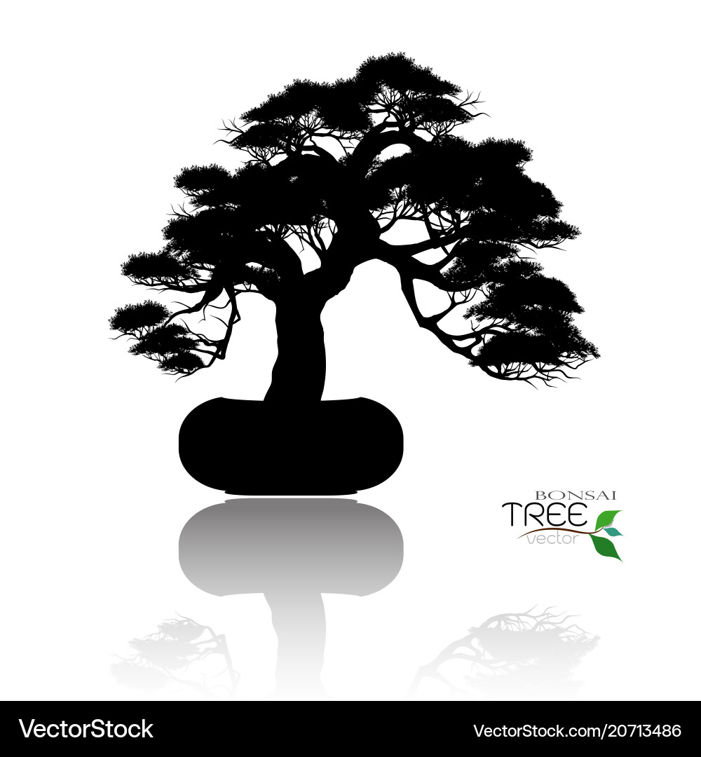 Bonsai tree Royalty Free Vector Image - VectorStock