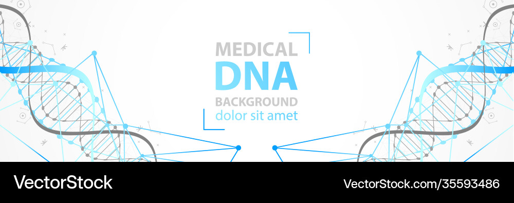 Science template wallpaper or banner with a dna Vector Image