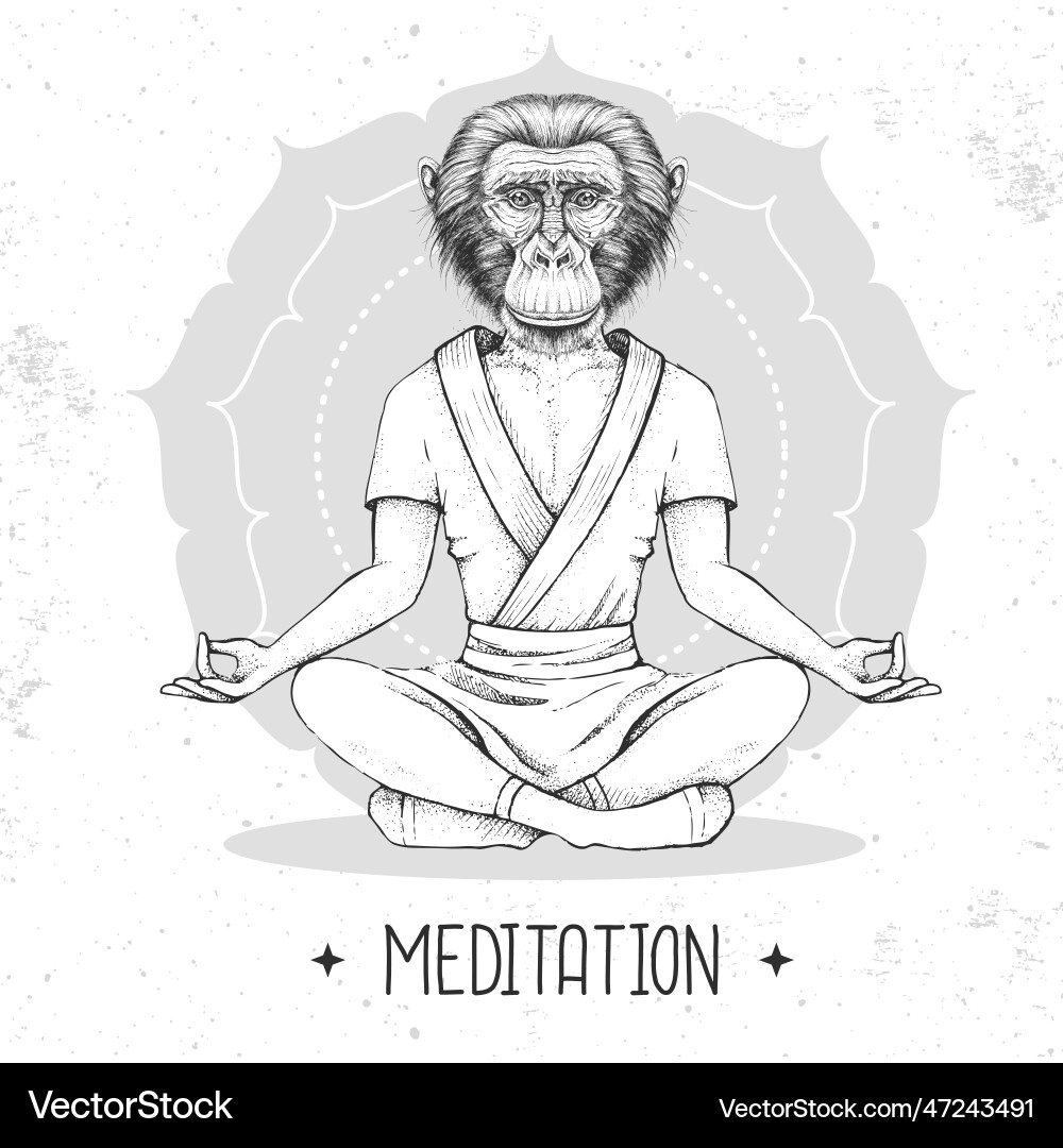 Animal monkey meditating in lotus position Vector Image