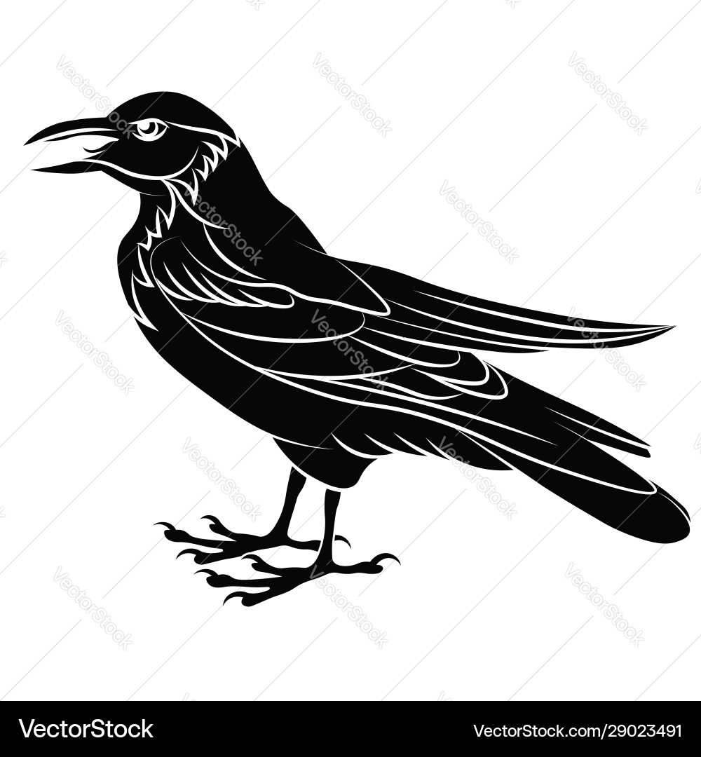 Black raven stands with an open beak croaks Vector Image
