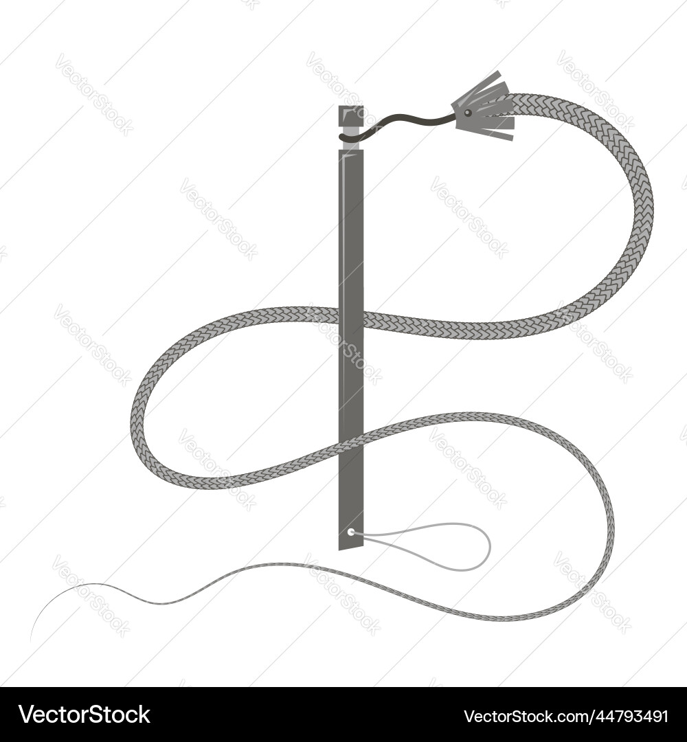 Grey leather whip icon isolated on a white Vector Image