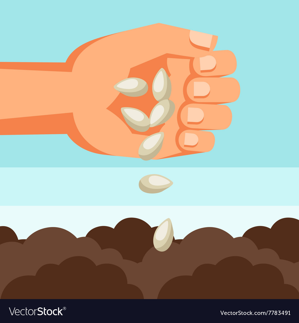 Human hand sows seeds into soil Royalty Free Vector Image