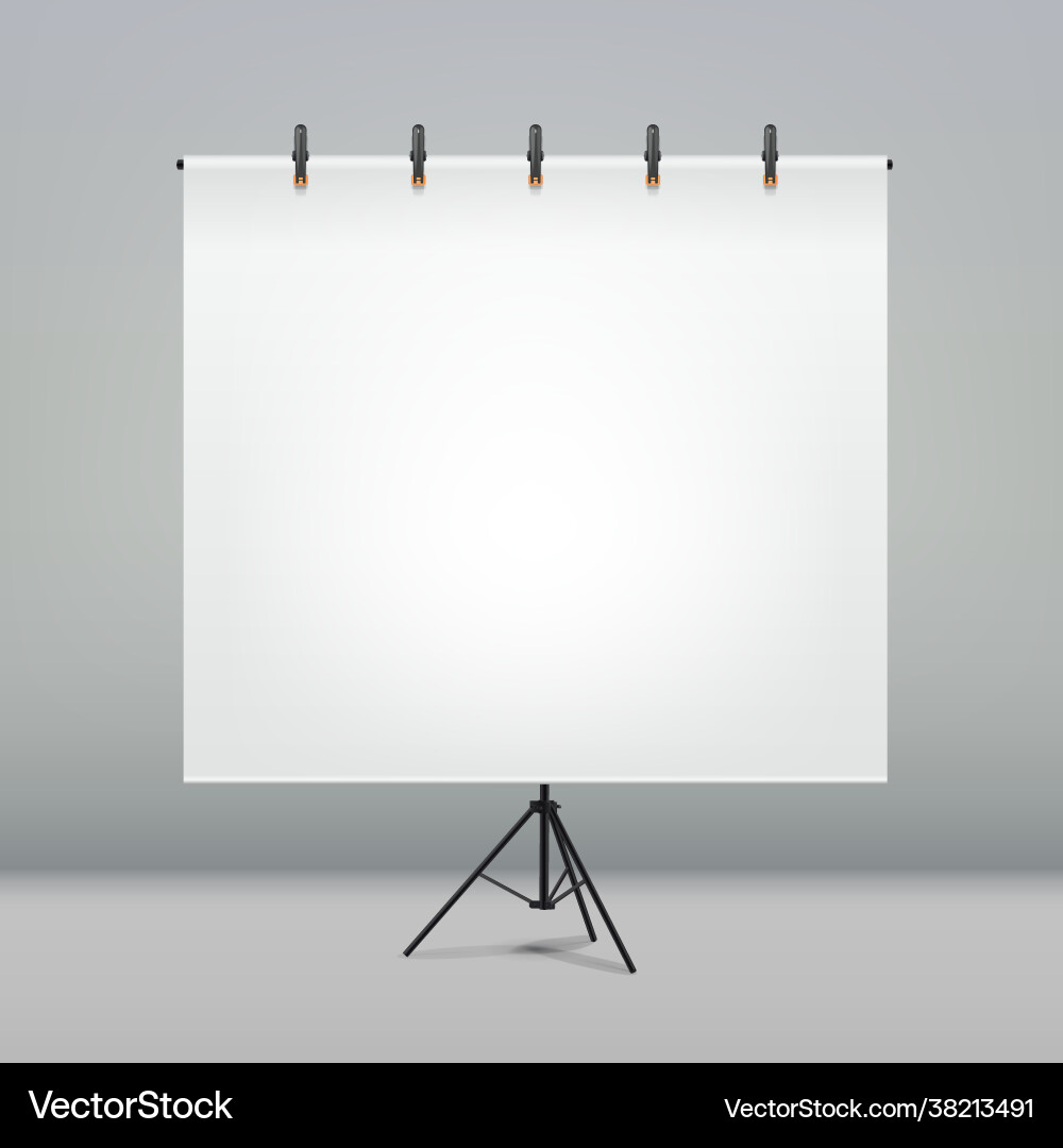 Professional photo studio interior photography Vector Image
