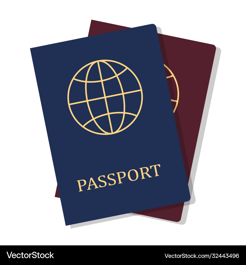 Biometric blue and red passport icon identity Vector Image