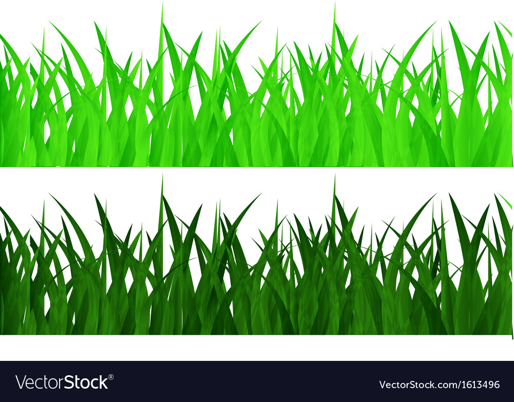Seamless grass Royalty Free Vector Image - VectorStock