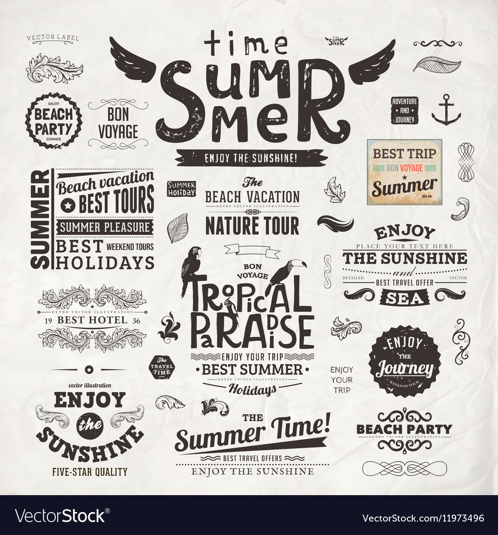 Summer Typography Royalty Free Vector Image - VectorStock