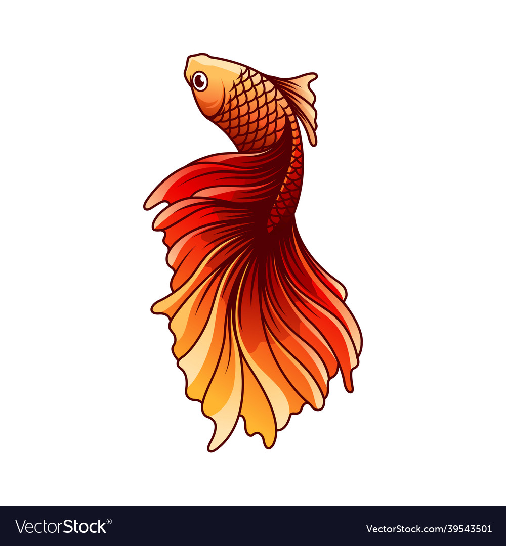 Betta fish Royalty Free Vector Image - VectorStock