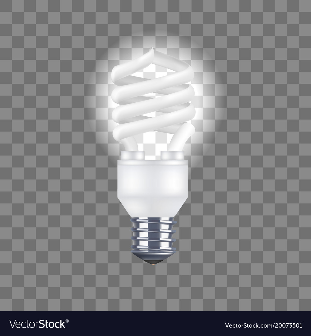 Realistic detailed light bulb on a transparent Vector Image