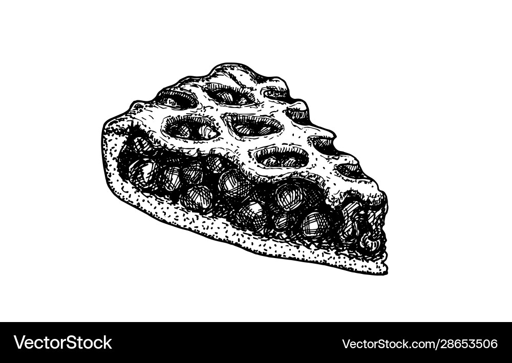 Black and white hand drawn piece pie decorated Vector Image