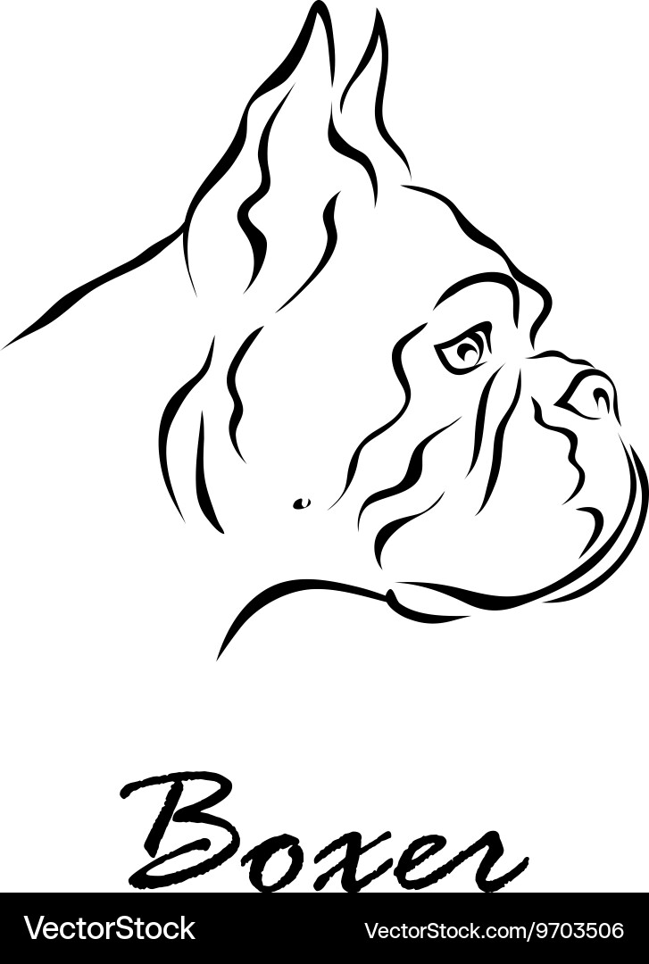 Boxer Royalty Free Vector Image - VectorStock
