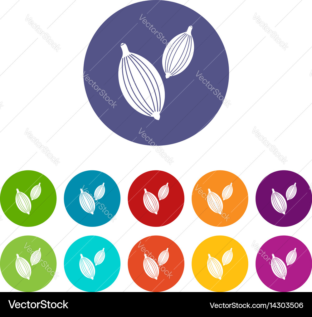 Cardamom pods icons set flat Royalty Free Vector Image