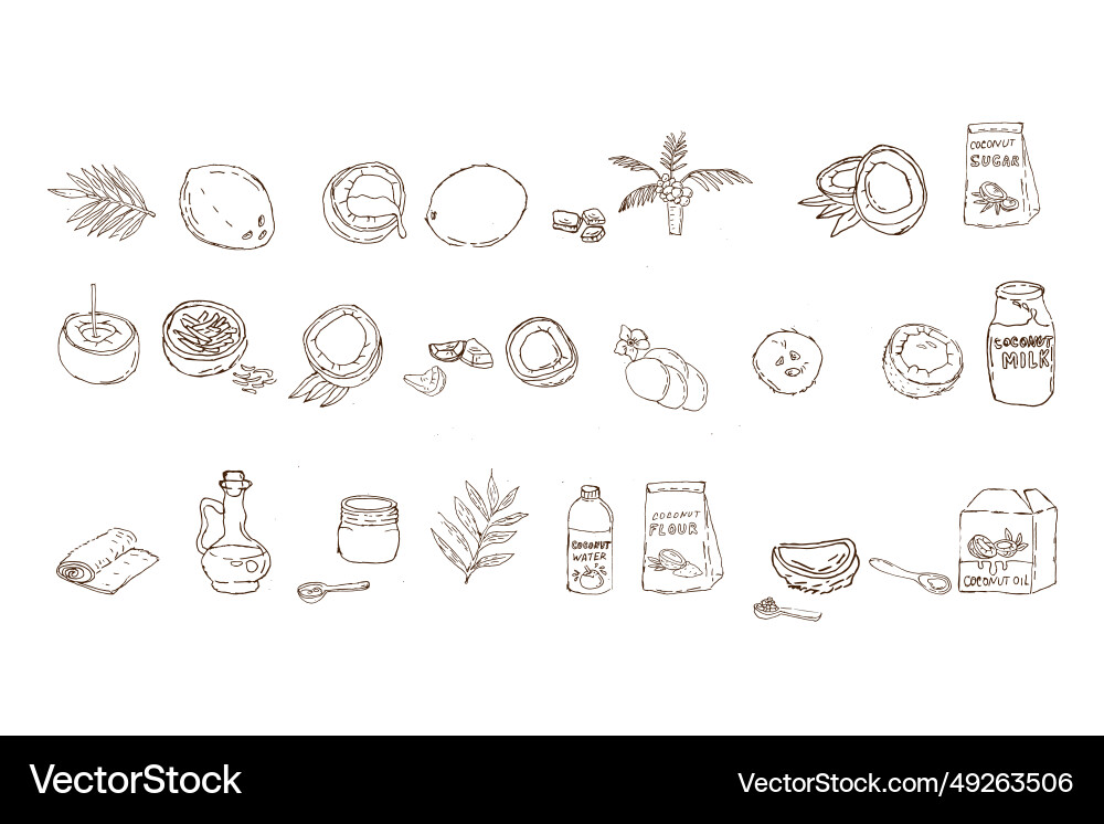 Coconut and products from - outline set Royalty Free Vector