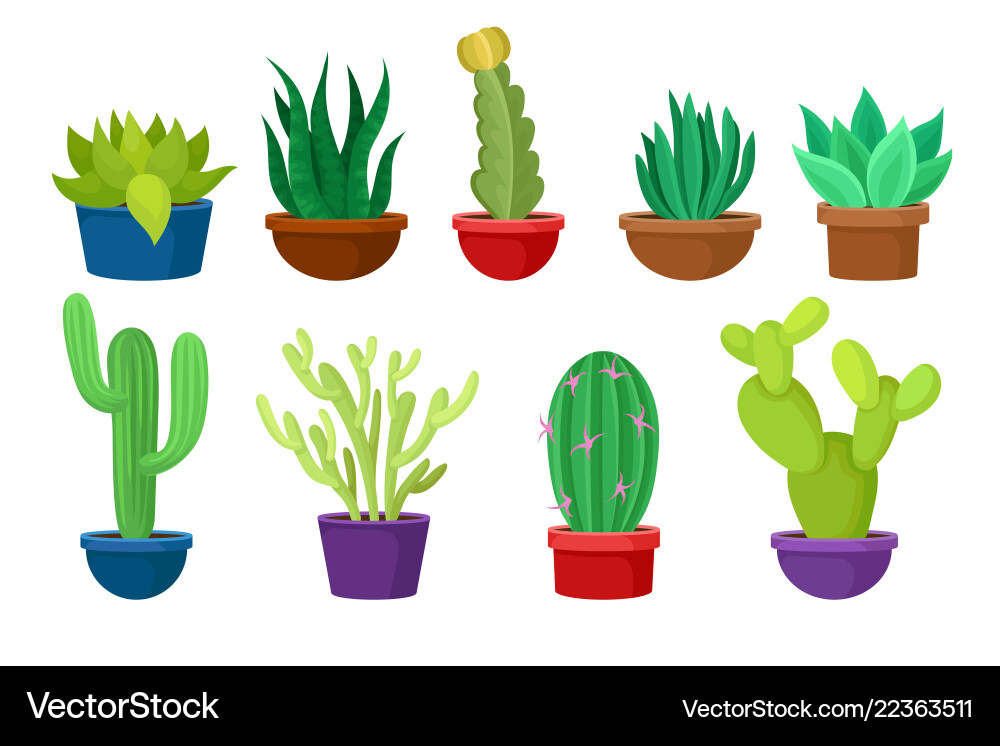 Flat set of different cacti in colorful Royalty Free Vector