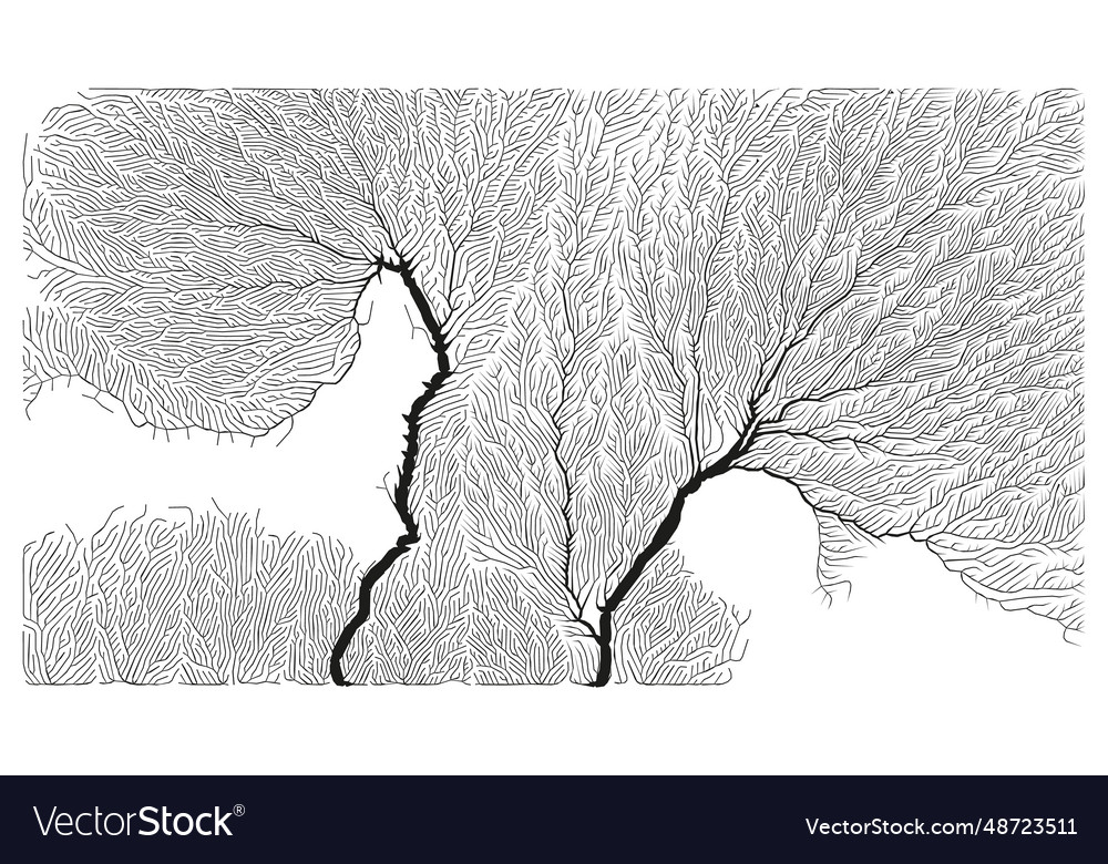 Growth Pattern Generative Branching Structure Vector Image