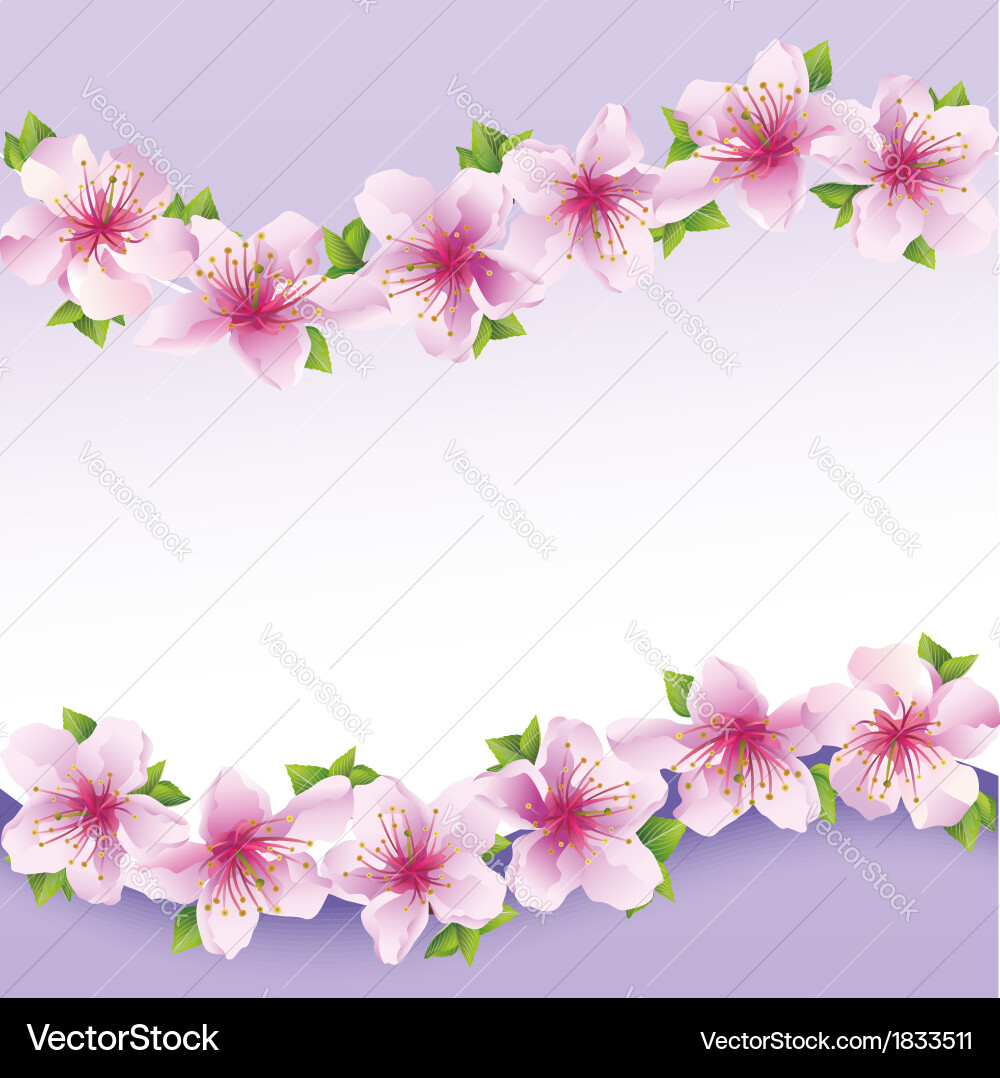 Stylish floral background greeting card Royalty Free Vector