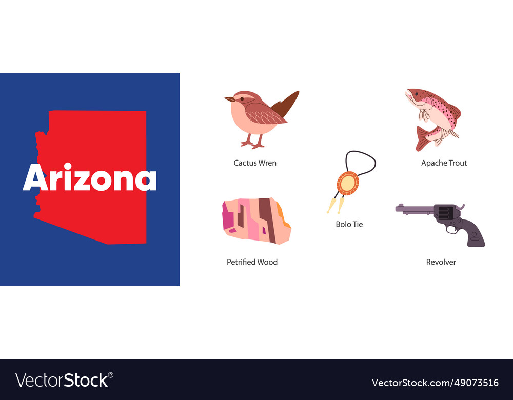 Arizona states map united america country symbol Vector Image