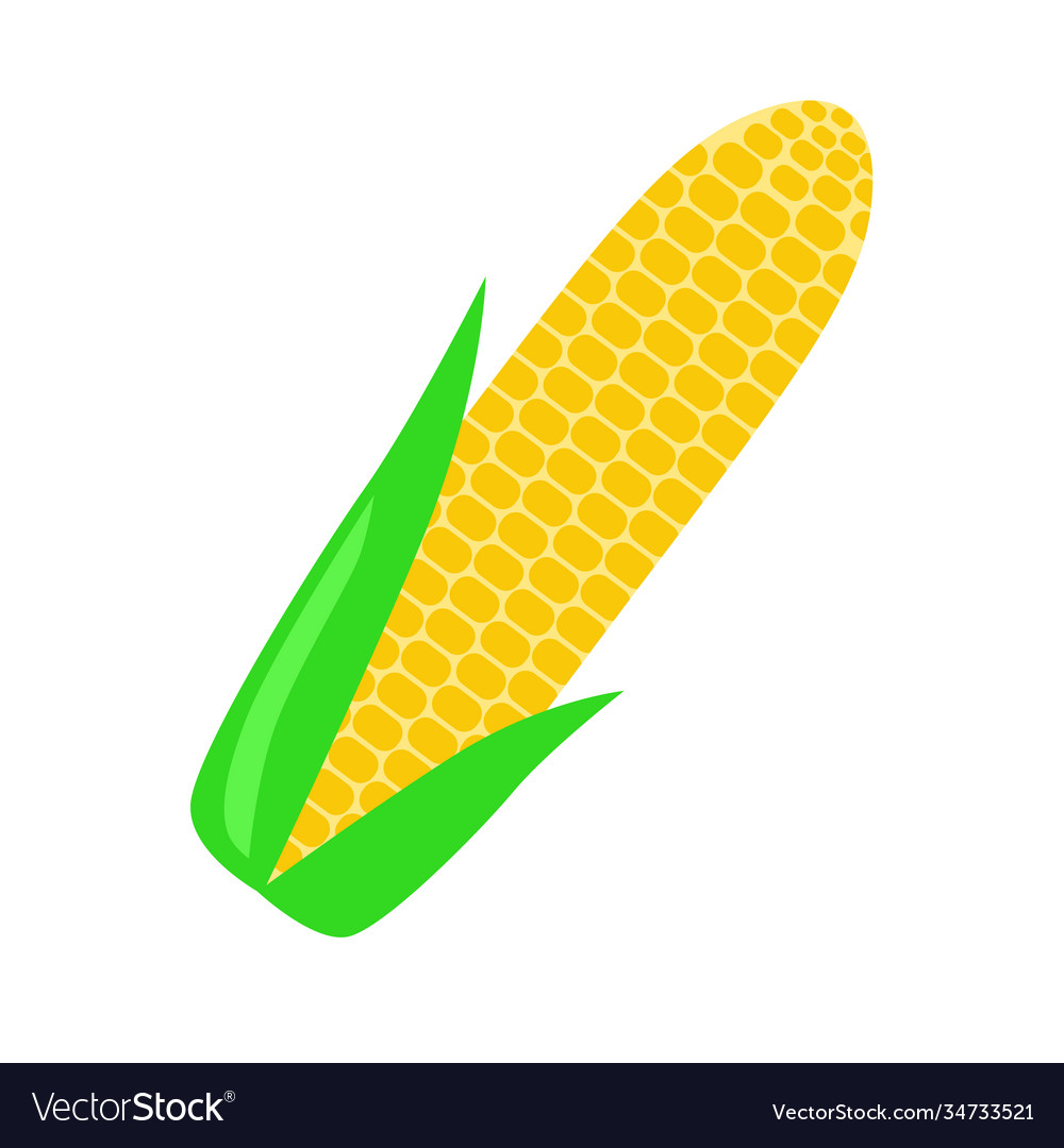 Corn Royalty Free Vector Image - VectorStock