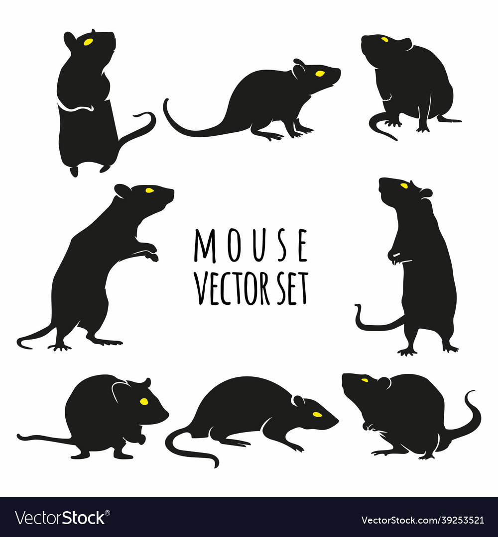 Mouse set rat Royalty Free Vector Image - VectorStock