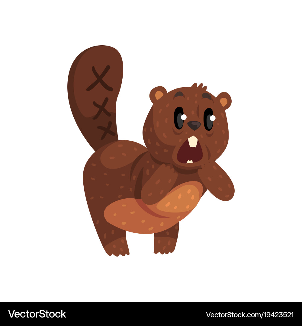 Shocked little beaver standing isolated on white Vector Image